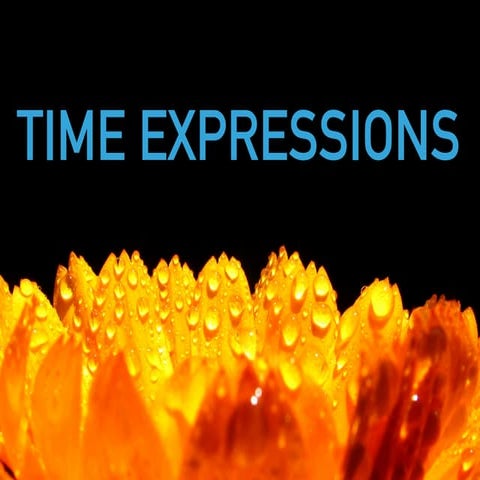 TIME EXPRESSIONS | PDF
