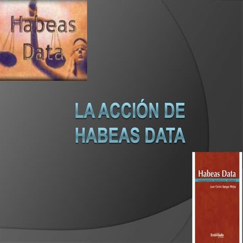 La acción de habeas data | PPTX