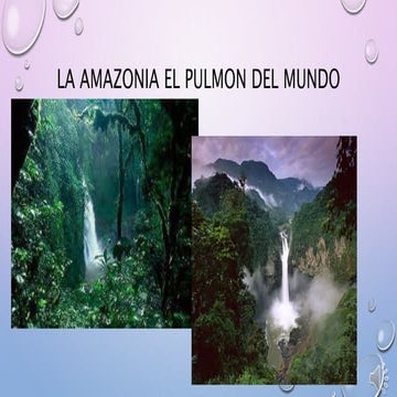 Proyecto La selva amazónica | PPT