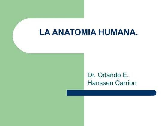 ANATOMÍA TOPOGRÁFICA COMPARADA ENTRE EL EQUINO Y CANINO | PPT