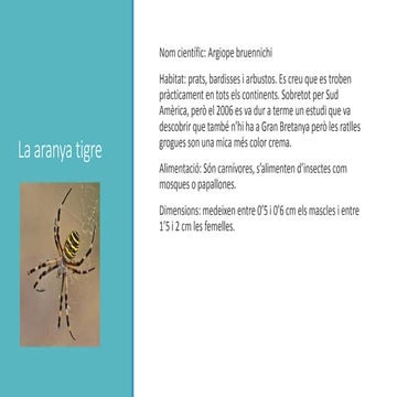 La aranya tigre | PPT