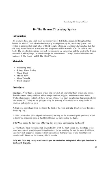 Grade11 life sciences practical task | DOCX