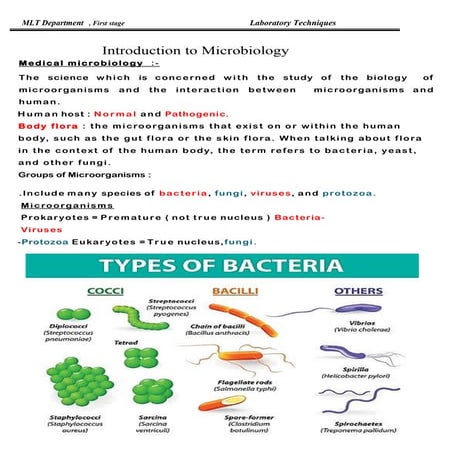 19_Systematic Bacteriology.pdf