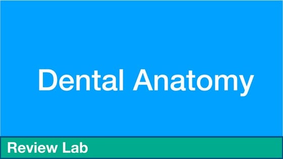 Dental Terminology | PPT