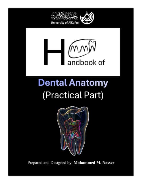Anatomical land marks of a tooth | PPTX | Dental Health | Diseases and Conditions