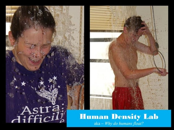 Density lab 8 24-11 | PPT