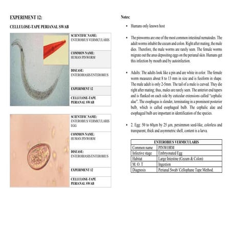 MICROBIOLOGY AND PARASITOLOGY LAB OSPE PDF | PPT