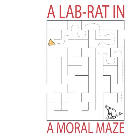 Lab rats-and-the-moral-maze-v2 | PPTX | Science
