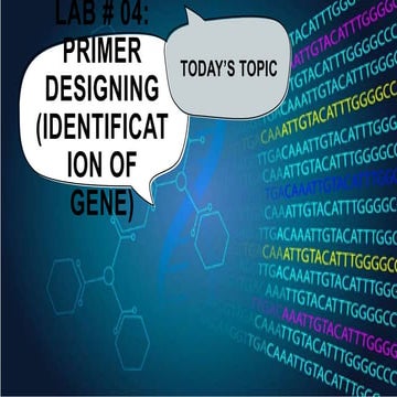 PRIMER DESIGNING.pptx