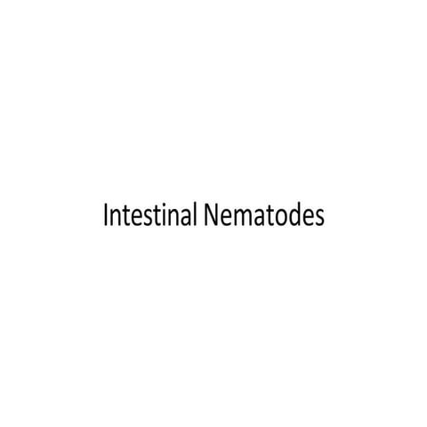 Overview of Intestinal Nematodes: Types, Life Cycle, and Diseases | PPT