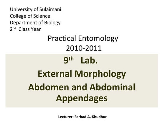 Entomology | PPT | Biological Sciences | Science