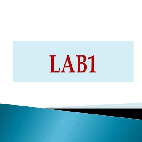 LAB1.pptx