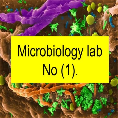 Red-cell-membrane-1-638 (12 files merged).ppt