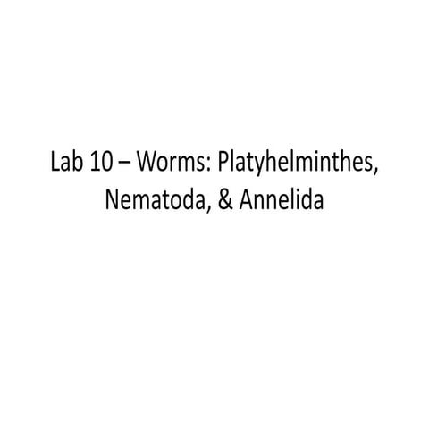 Lab 10 – worms | PPTX | Biological Sciences | Science