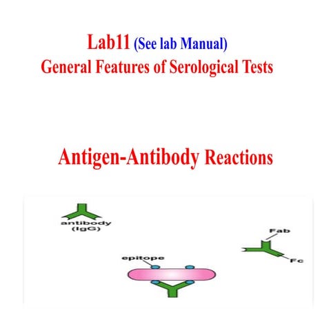 lab 11 -SerologyI 2021.pptx serology 2021 | PPTX