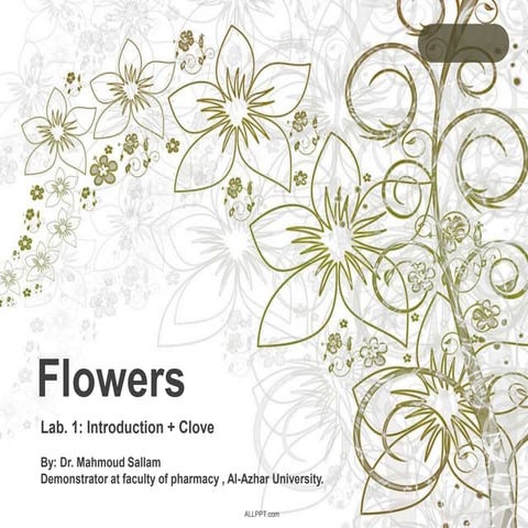 Flowers: Introduction , clove | PPTX
