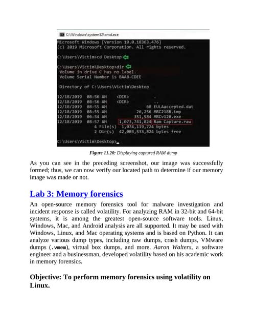 Digital Forensics Lab 15 Data Hiding Stenography | PDF
