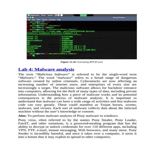 Digital Forensics Lab Lab 14 Malware Analysis | PDF