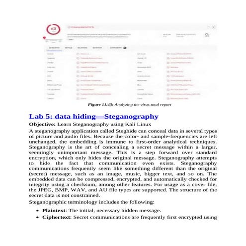 Digital Forensics Lab 15 Data Hiding Stenography | PDF