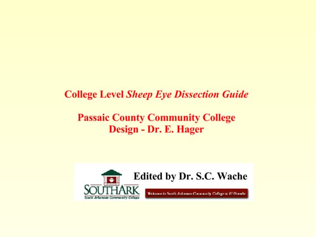 Cow eye – dissection and label | PPTX