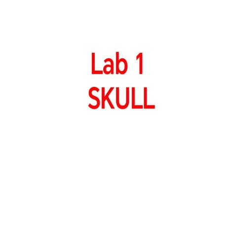 Lab 1 (Skull 1).pdf000000000000000000000 | PDF