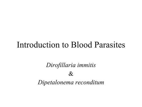 Classification of Microfilaria | DOCX | Infectious Diseases | Diseases ...