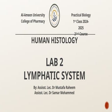Lab 2 histology of the lymphatic system.pptx