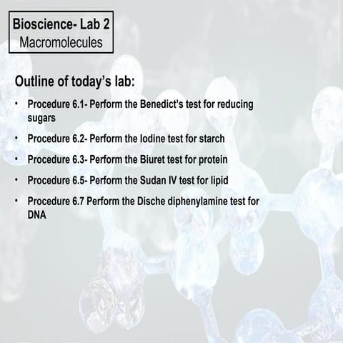 Lab 2 powerpoint | PPT