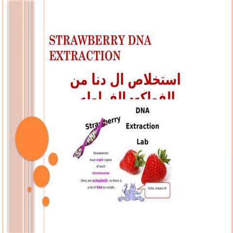 _lab2strawberry_dna_extraction.pptx.pptx