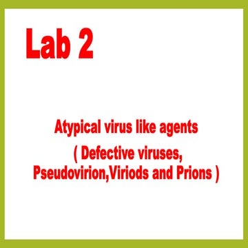 lab 2 virology(1).pptx