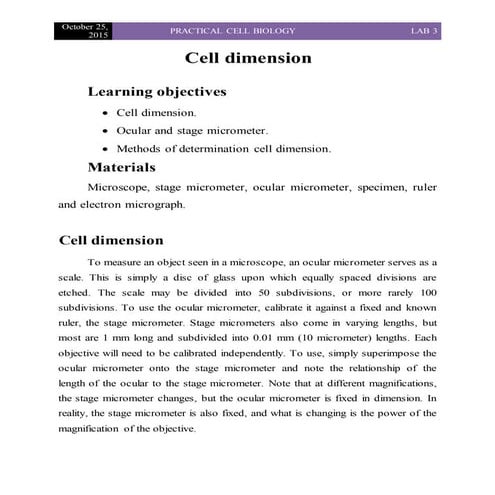 Lab 3 | DOCX