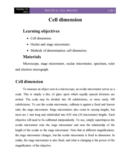 AS Biology Lesson 2 - Measuring Cells | PPT