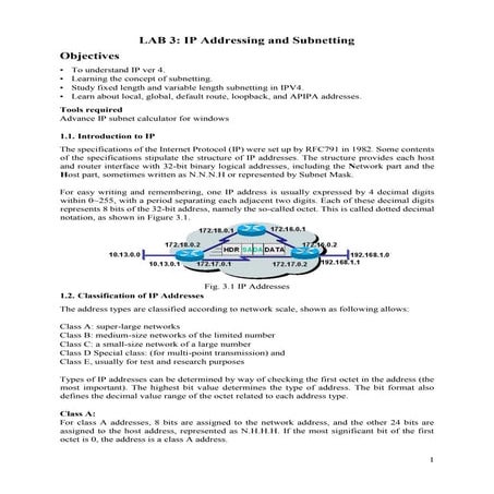 -LAB 3-IP Addressing and Subnettinncgbg.pdf