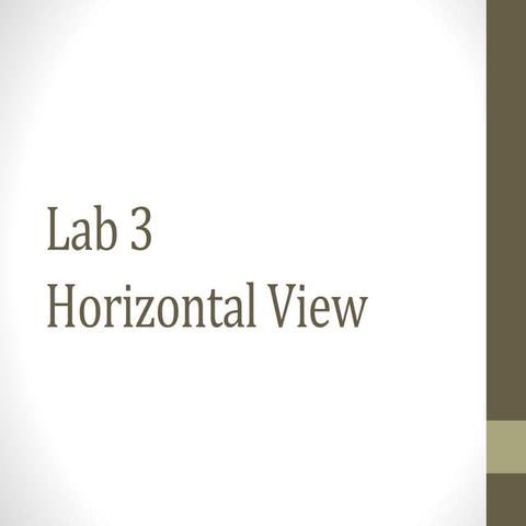 Lab 3 slides horizontal | PPTX