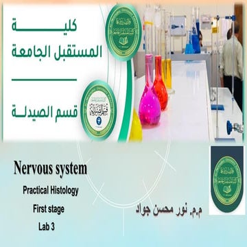 Lab 3 The Nervous system.pdf