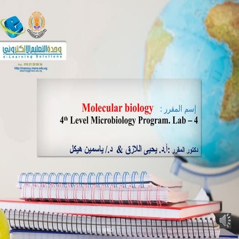 lab4 molecular biology.pptxbacteriology.. | PPT