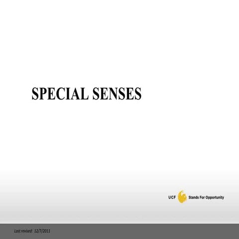 Lab4 sensory | PPTX