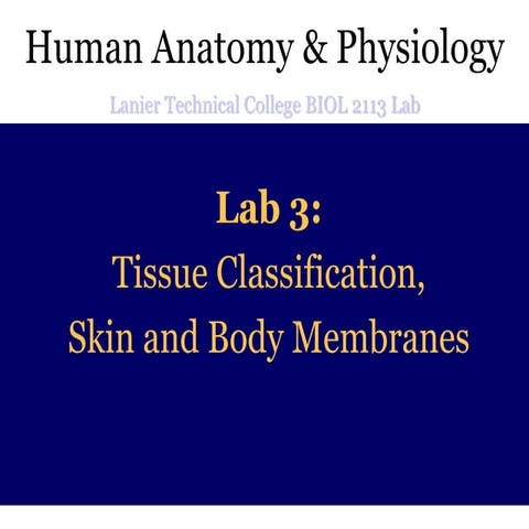 Lab4tissues (6) | PPTX