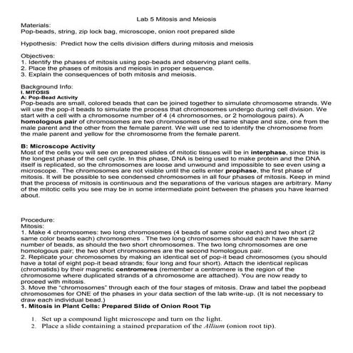 Lab 5 mitosis and meiosis | DOCX