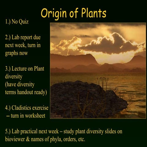 Lab 5 Origin Of Plants | PPT | Gardening | Home & Garden