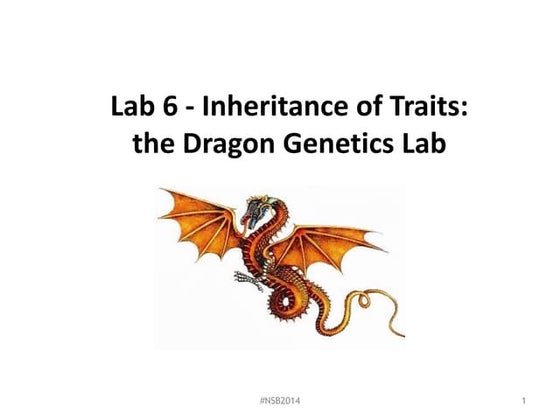 Sex influenced and sex limited traits ppt | PPT | Genetics | Science