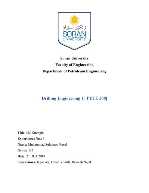 Fann VG meter | DOCX