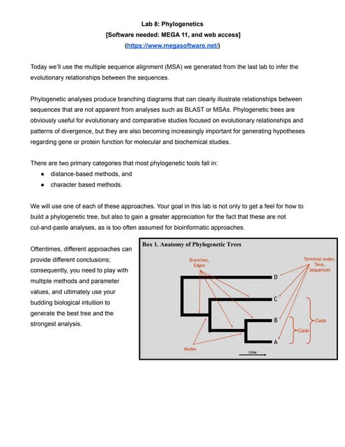 MULTIPLE SEQUENCE ALIGNMENT | PDF