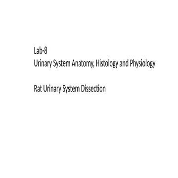 Anatomy and physiology urinary system . | PPTX