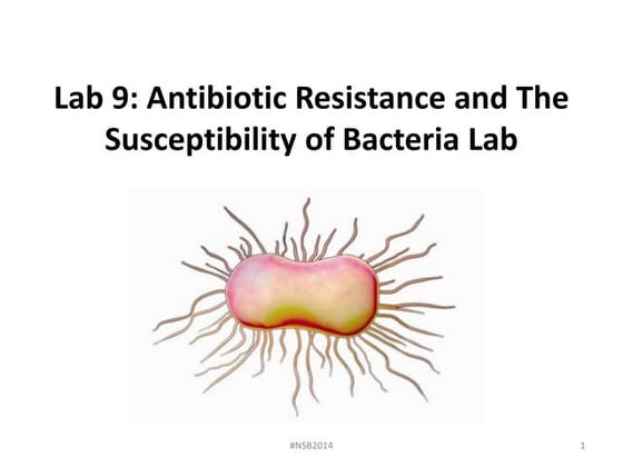 antibiotic resistant bacteria | PPT