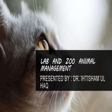 Lab animal husbandry | PPTX