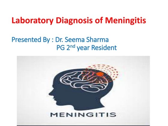 Meningitis | PPTX | Brain and Nervous System Disorders | Diseases and Conditions