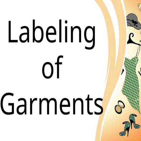 Labeling_of_Garments topic presentation.pptx