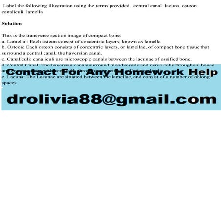 Label the following illustration using the terms provided. central c.pdf