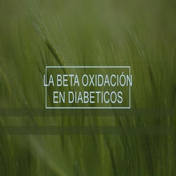 La beta oxidación e inmunoglobulinas.pptx